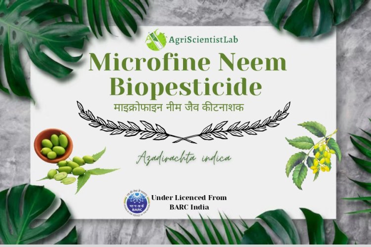 Nimb Shakti- Microfine Neem Biopesticide - Solutions for agricultural ...